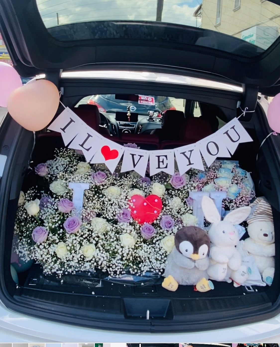 Trunk surprise – cappuccinorosenyc